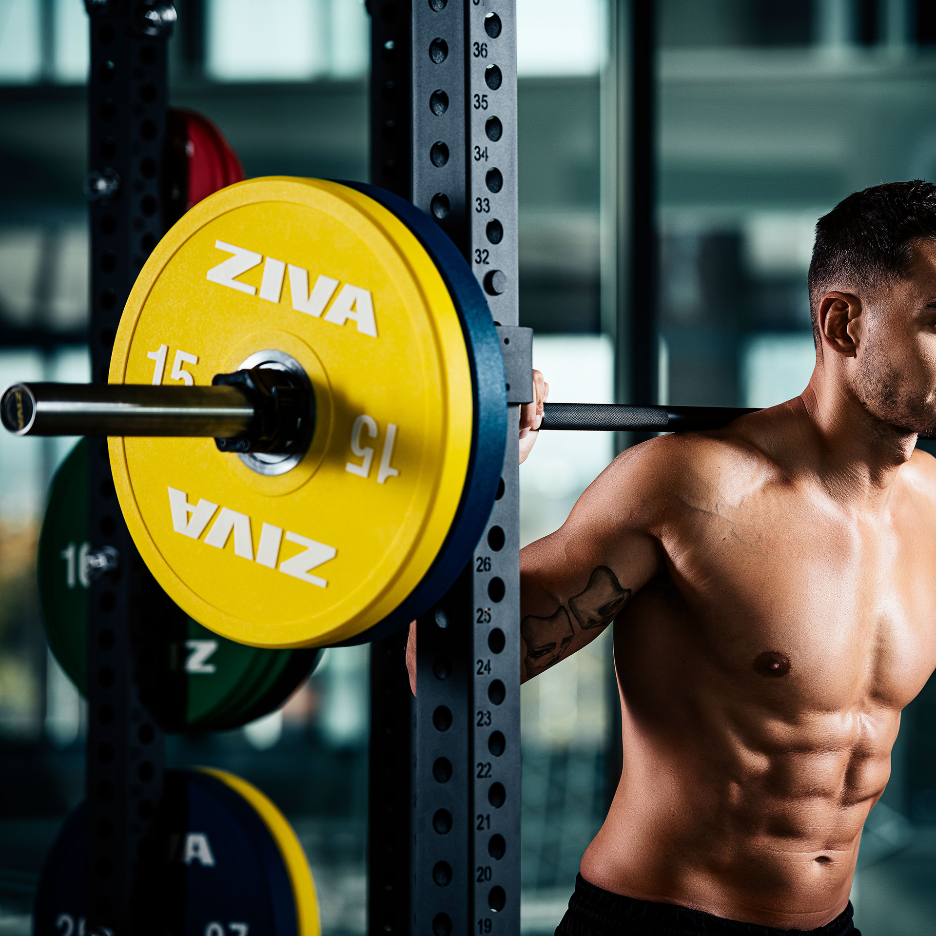 XP LOW PROFILE HALF RACK WITH STORAGE - ZIVA